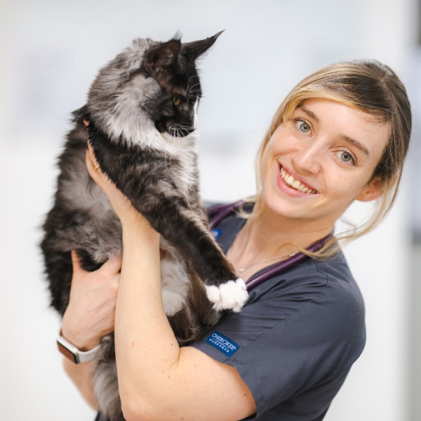 The Pet Vet Rotherham - Vets Rotherham | 01709 854333 | The Pet Vet