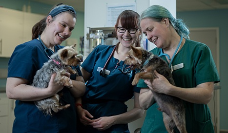 Our History | The Pet Vet