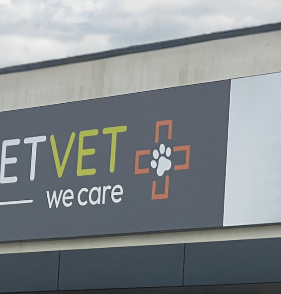 Liverpool - The Pet Vet Surgery | The Pet Vet