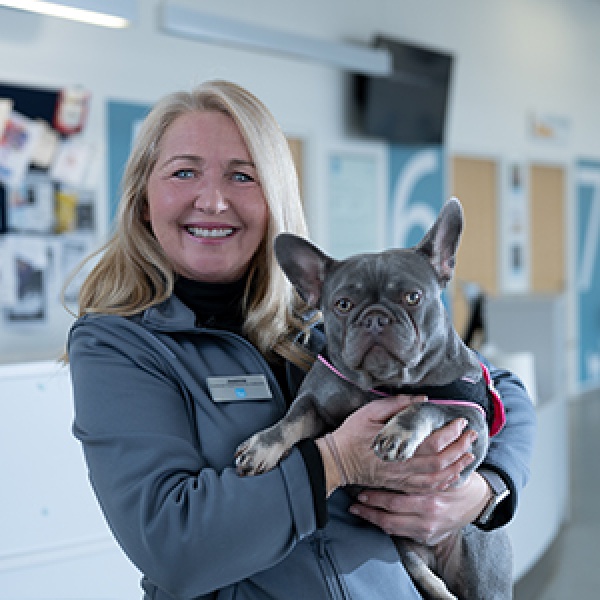 Liverpool - The Pet Vet Surgery | The Pet Vet