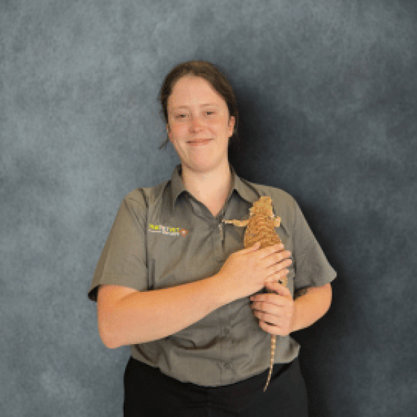 Liverpool - The Pet Vet Surgery | The Pet Vet