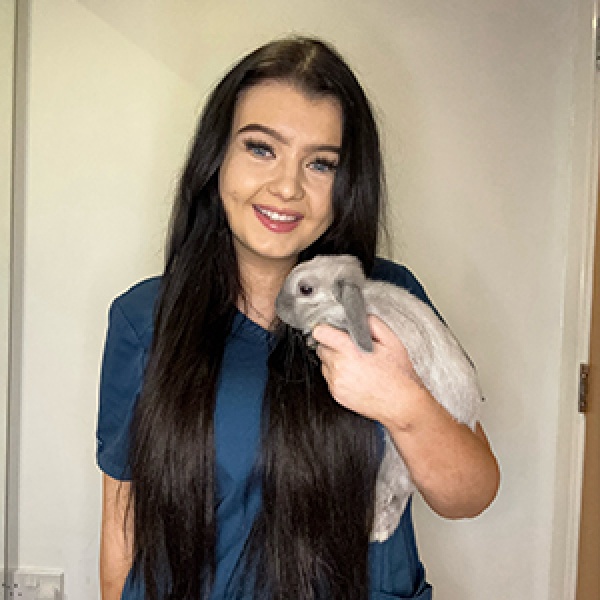 Liverpool - The Pet Vet Surgery | The Pet Vet