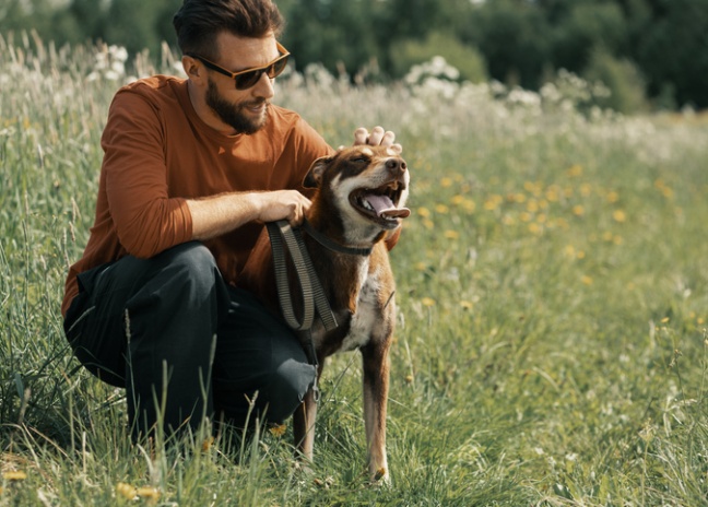 The Importance Of Spaying Female Dogs | The Pet Vet | The Pet Vet