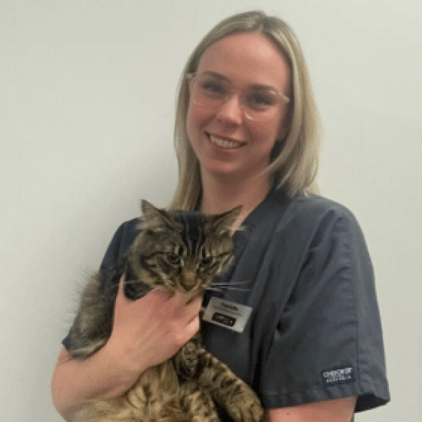 Liverpool - The Pet Vet Surgery | The Pet Vet
