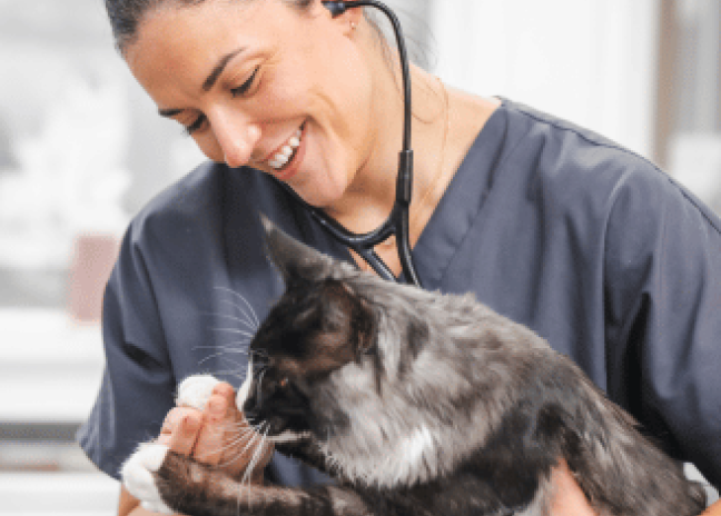 We're attending London Vet Show 2024! | The Pet Vet