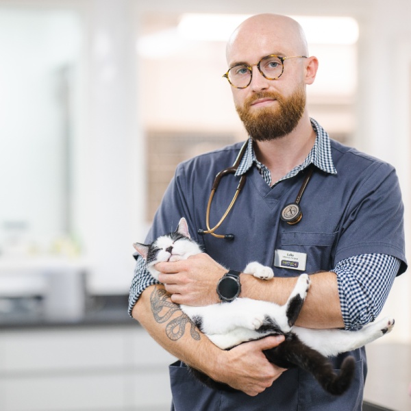 The Pet Vet Rotherham - Vets Rotherham | 01709 854333 | The Pet Vet