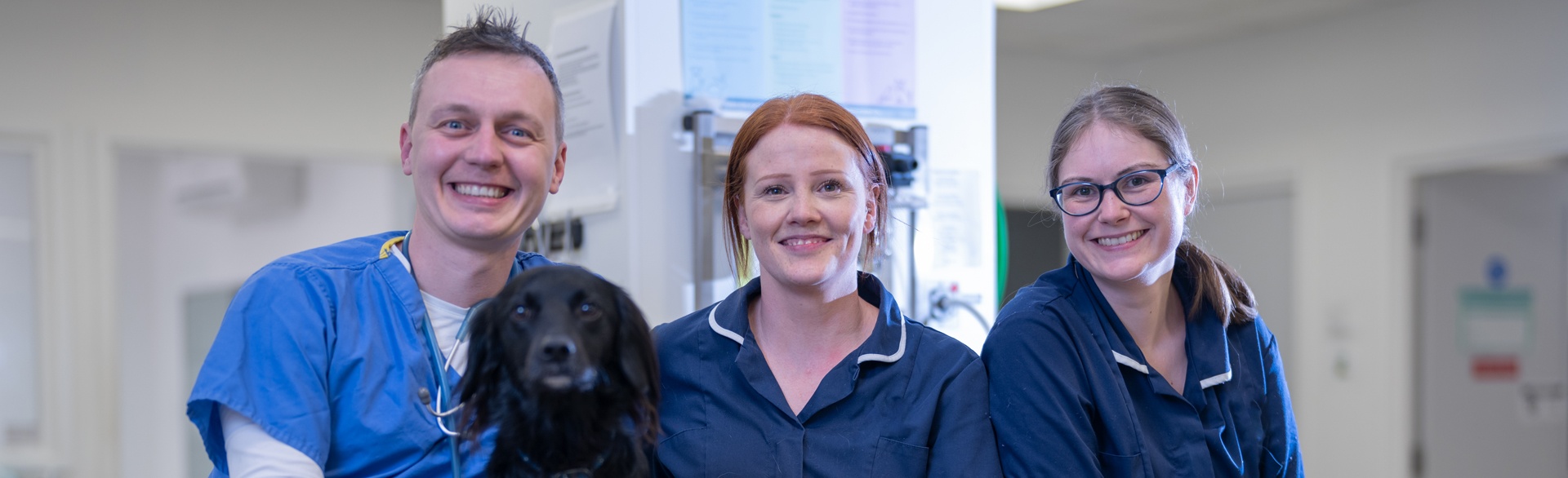 About The Pet Vet - Your local independent Vets | The Pet Vet