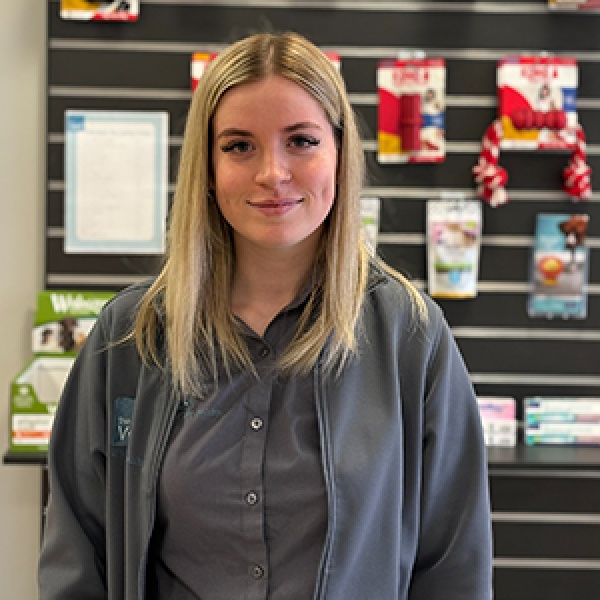 Nottingham Surgery | The Pet Vet