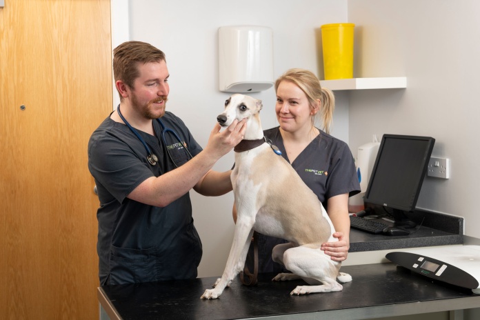 Nurses - Careers | The Pet Vet