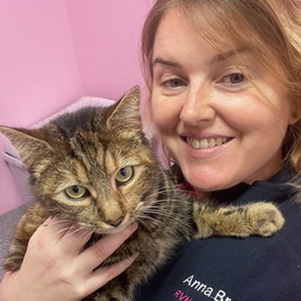 Portsmouth Surgery | The Pet Vet