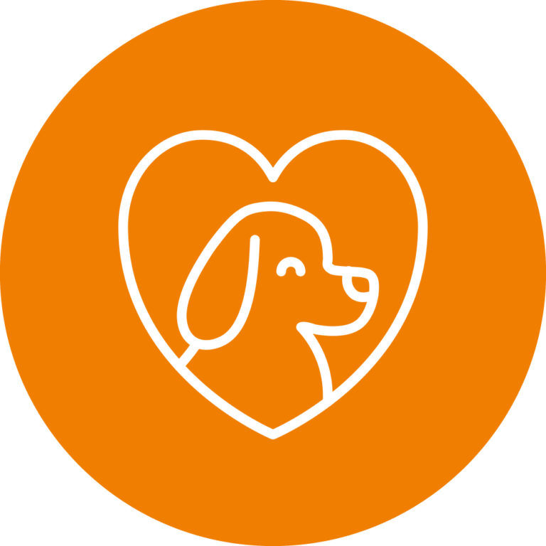 The Pet Vet | Feltham